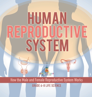 Human Reproductive System How the Male and Female Reproductive System ...