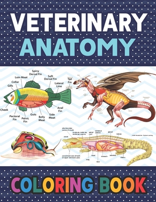 Veterinary Anatomy Coloring Book: a Collection of Fun and Easy ...